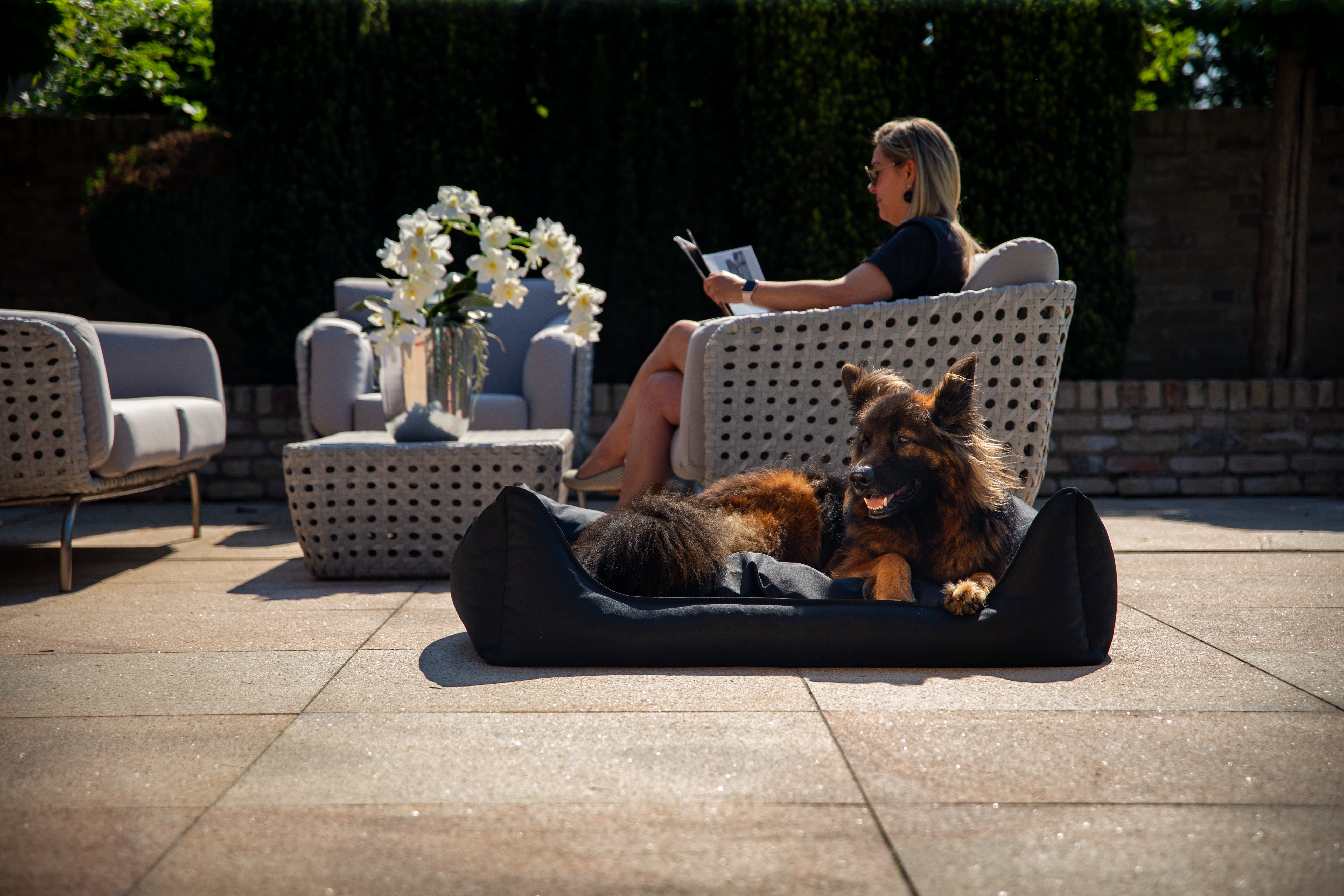 Samen op pad: de ultieme checklist voor een zomerse trip met je hond ...